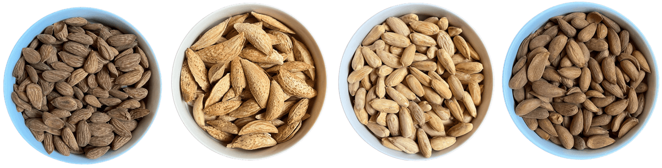 En mandel er ikke bare en mandel – warfair